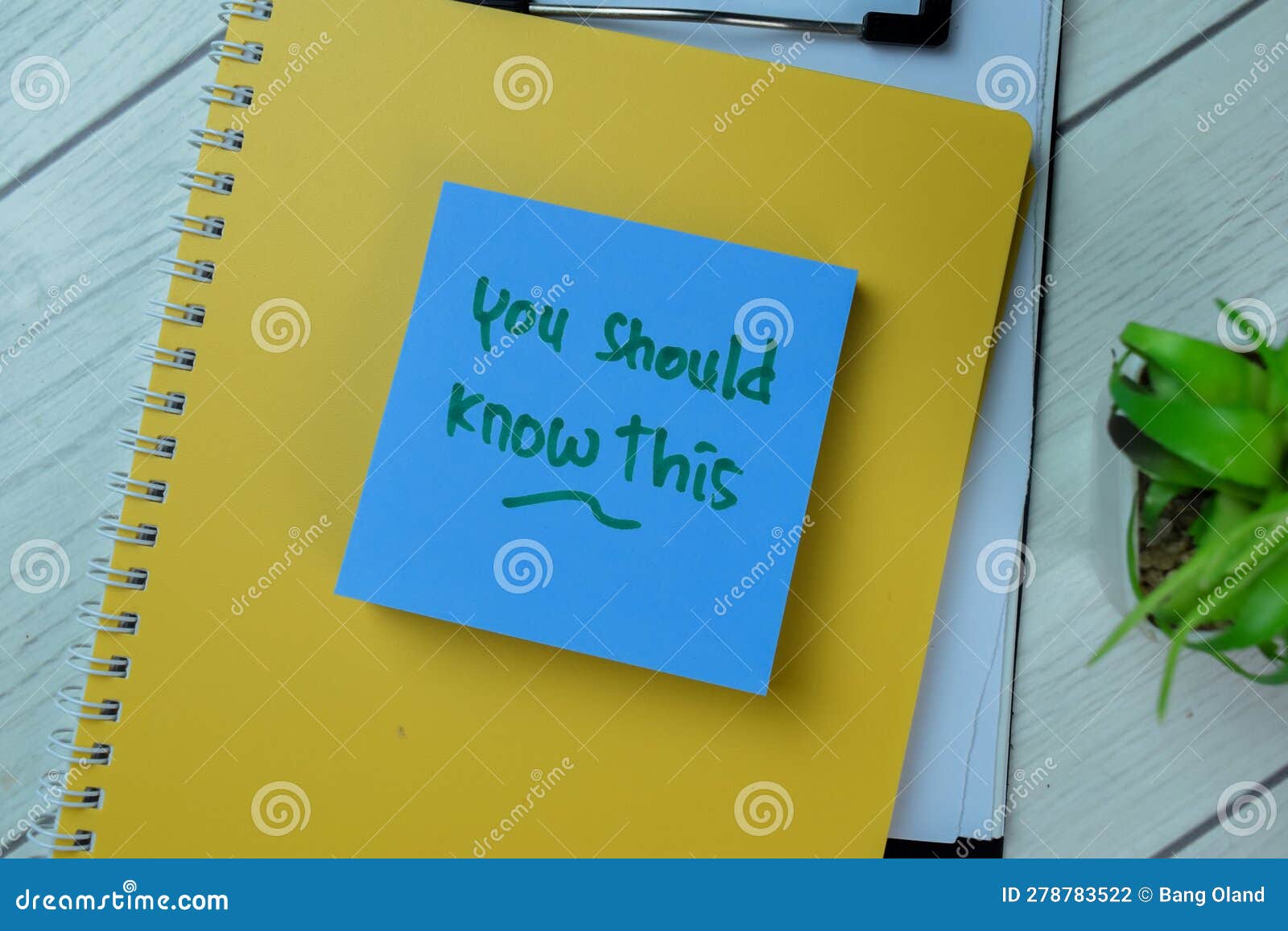 Concept of You Should Know this Write on Sticky Notes Isolated on ...
