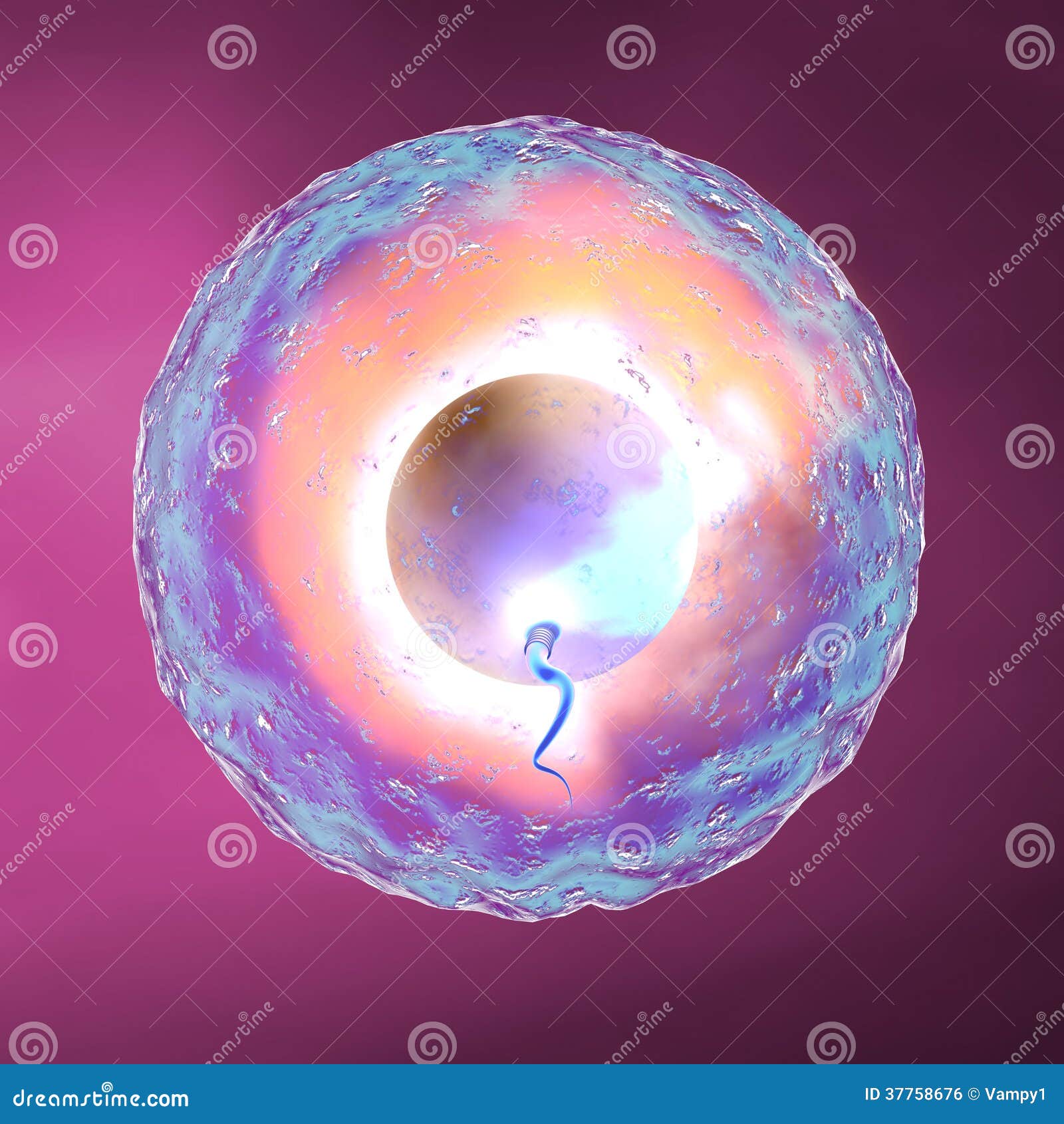 Ovum Cartoons, Illustrations & Vector Stock Images - 4973 Pictures to ...