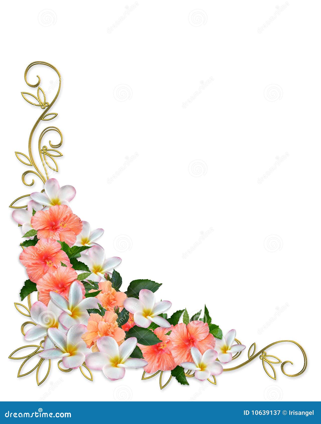 Conception Tropicale De Coin De Fleurs Illustration Stock ...