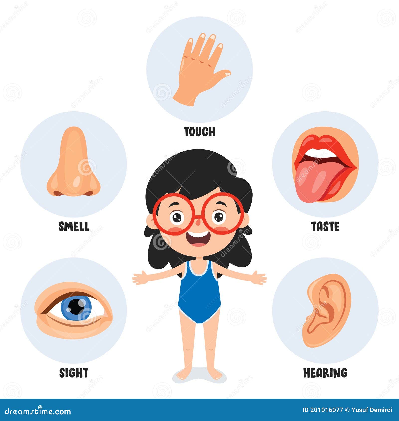Concepto De Cinco Sentidos Con órganos Humanos Ilustración del Vector ...