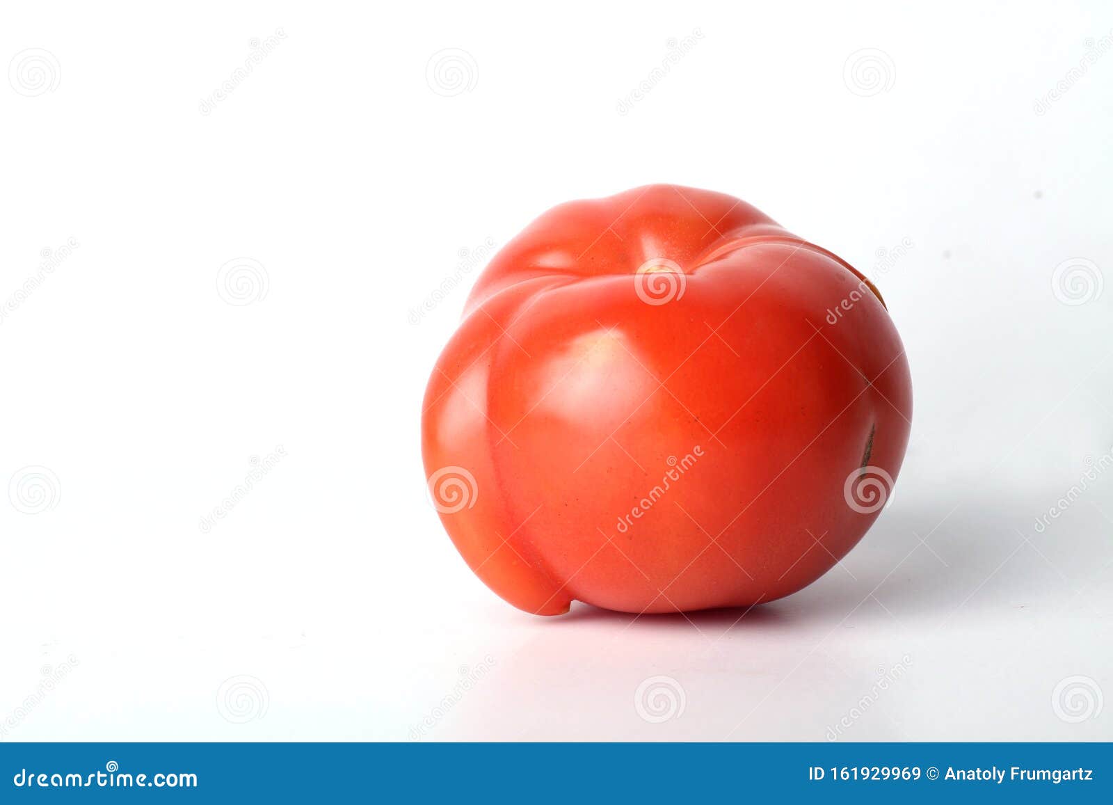 Concepto De Comida Fea - Tomate Feo Sobre Fondo Blanco Imagen de ...