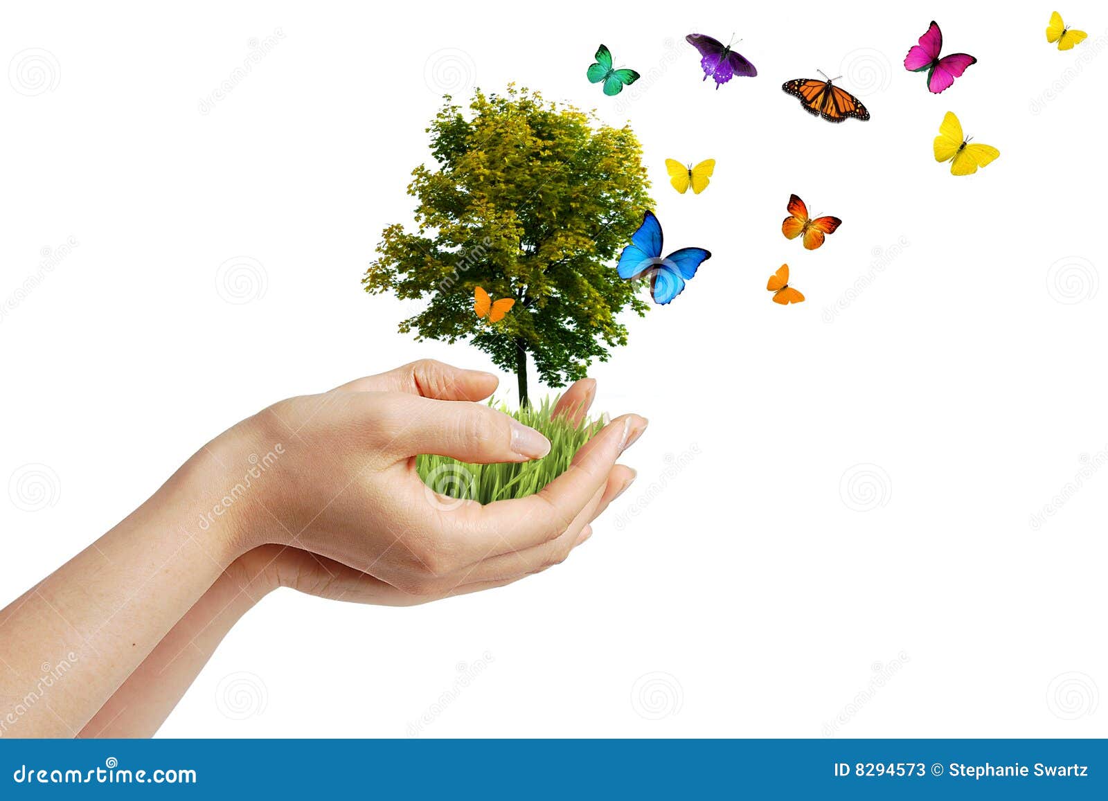 Concepto de Eco imagen de archivo. Imagen de aislado, reanudable - 8294573