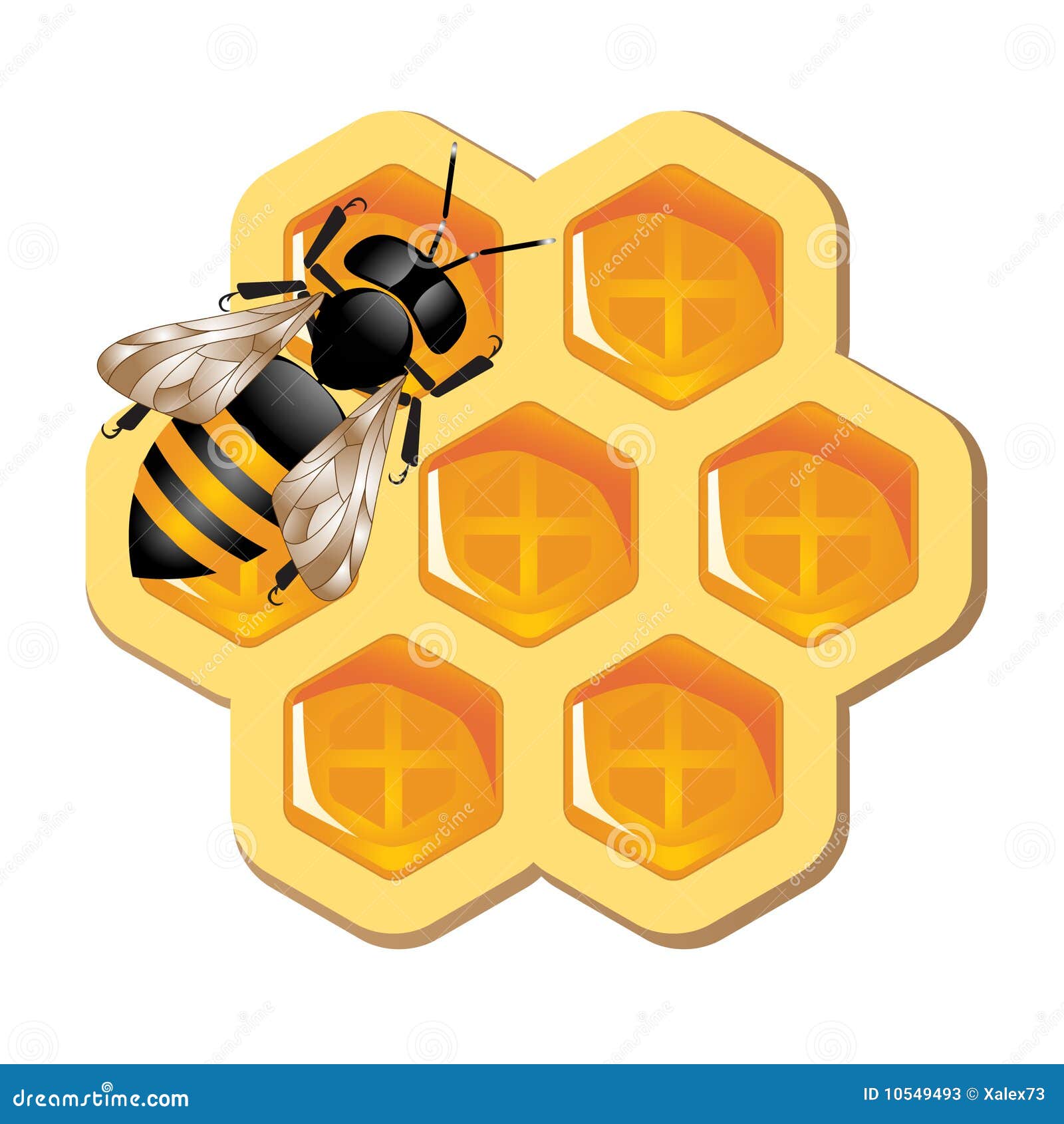 Concepto de la miel ilustración del vector. Ilustración de cubierta ...