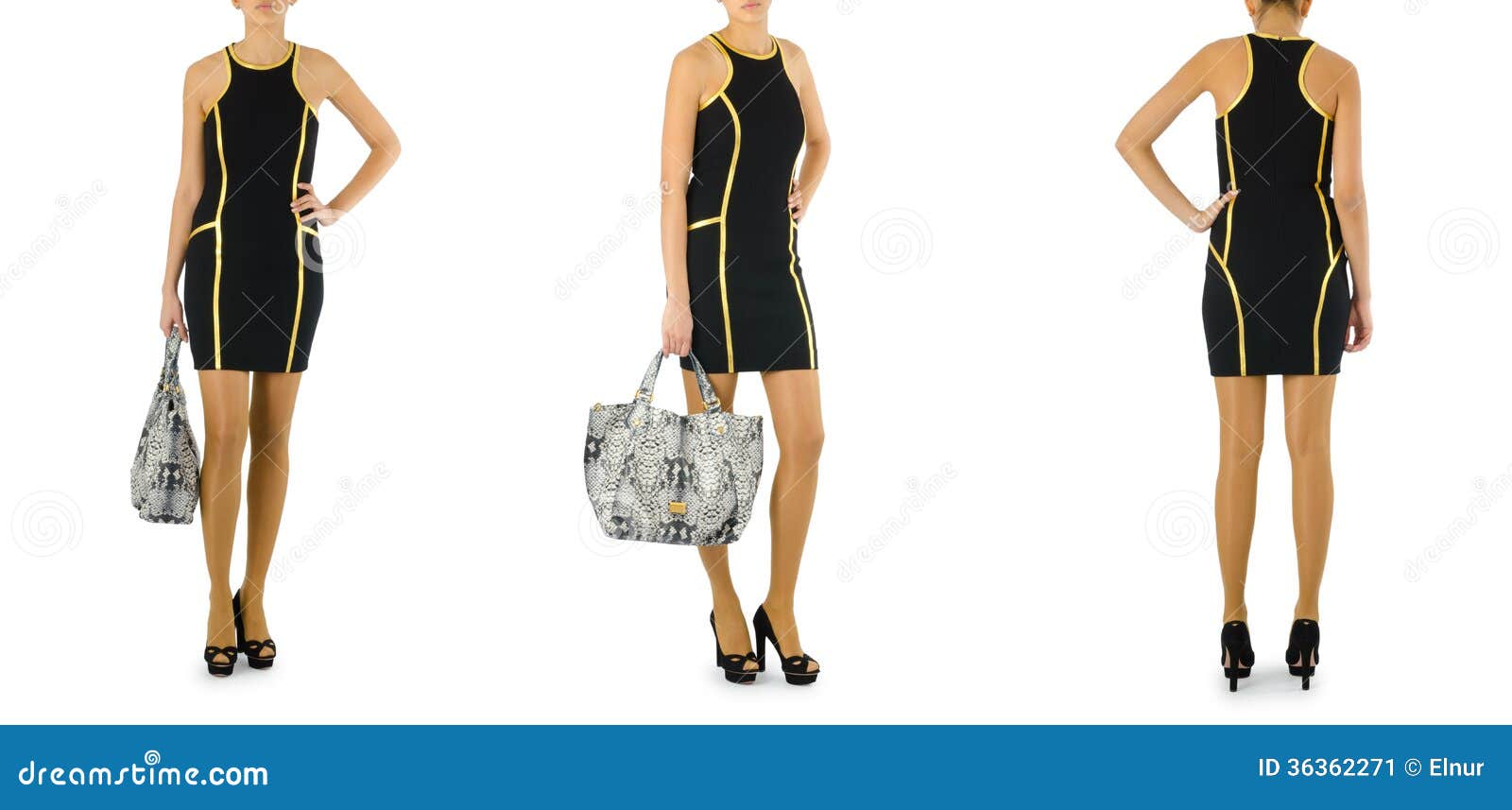 Concepto De La Moda De La Mujer Imagen de archivo - Imagen de hembra ...