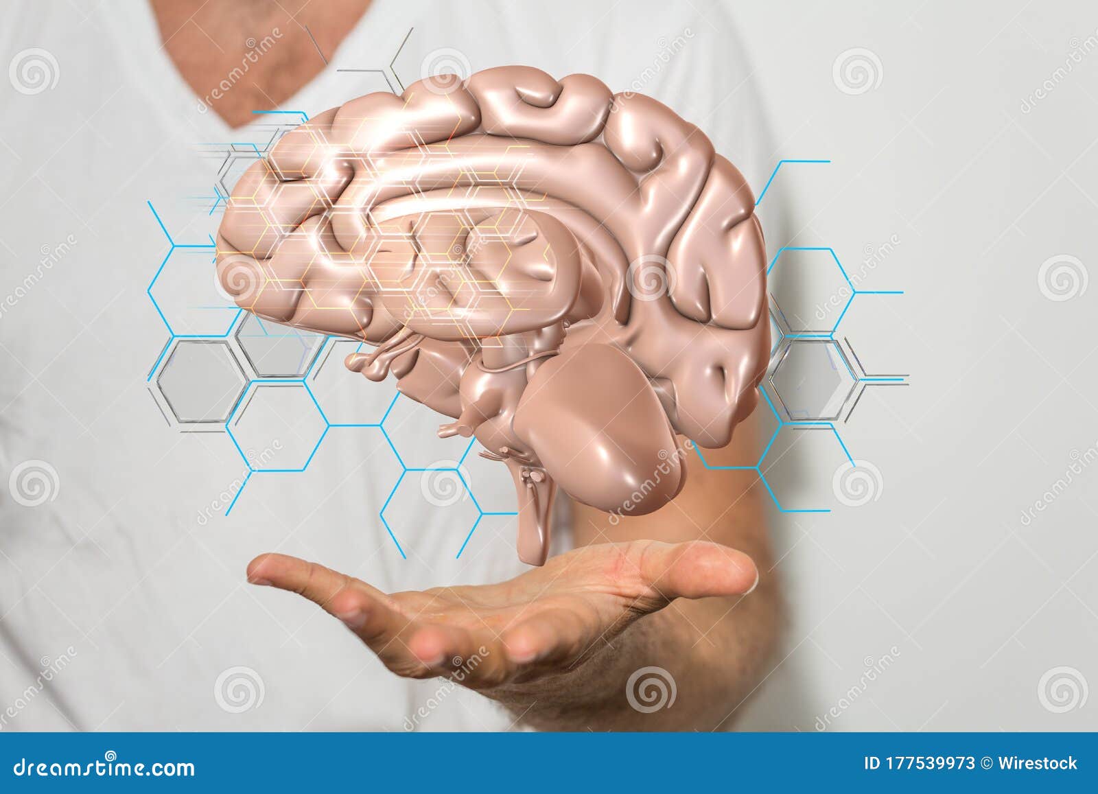 Concepto De Mente De Ideas Digitales Cerebrales Imagen de archivo ...