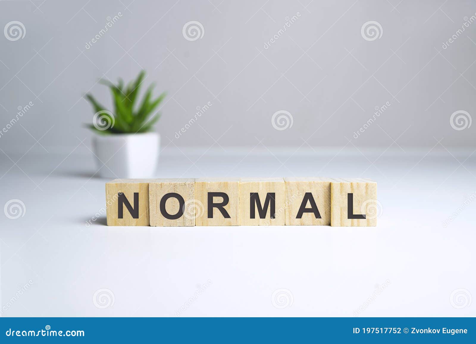 Concepto De Palabra Normal, Cubos De Madera Con Texto En Blanco Foto de ...