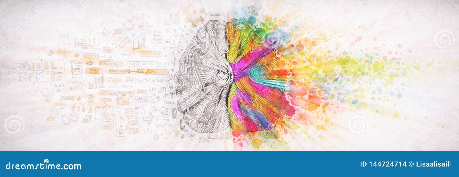 Concepto Izquierda-derecha Del Cerebro Humano, Ejemplo Texturizado ... Concepto Izquierda-derecha Del Cerebro Humano, Ejemplo Texturizado ...