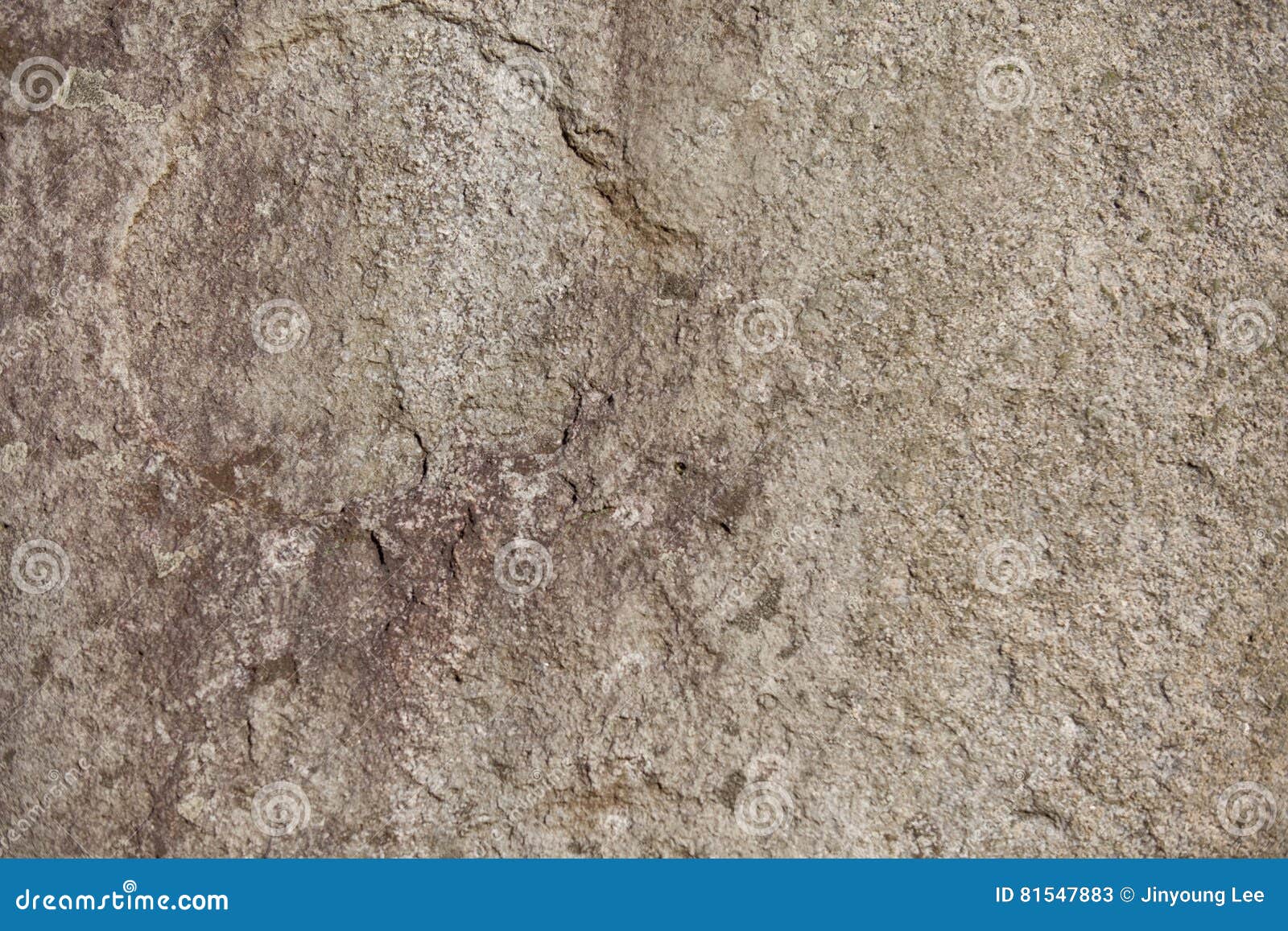 Concepts stock image. Image of defensive, concepts, dome - 81547883