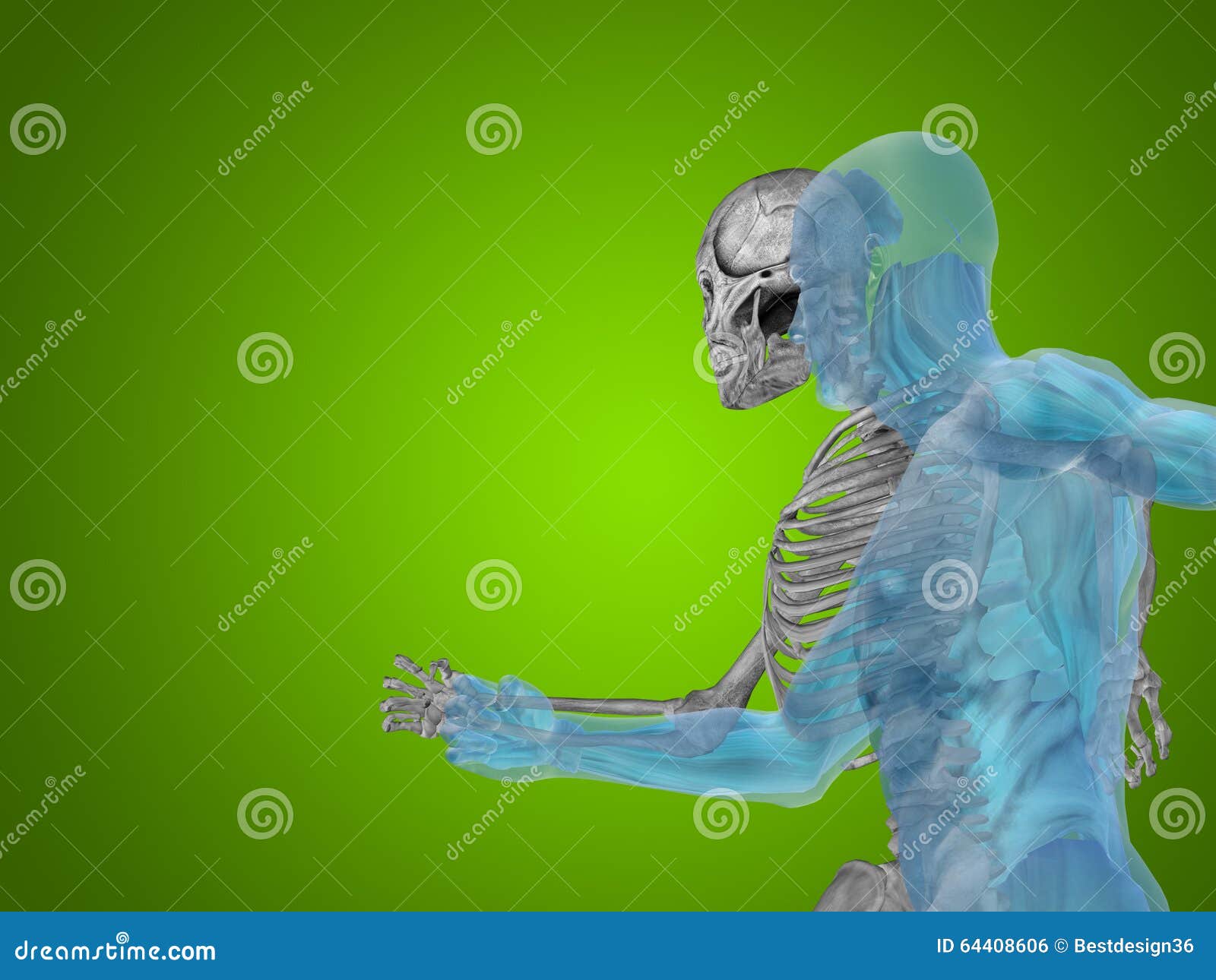 Conceptual Anatomy Human Body on Green Stock Illustration ...