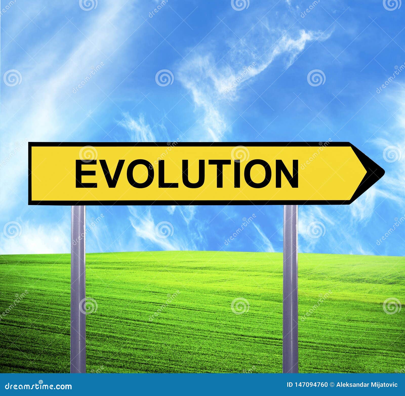 Conceptual Arrow Sign Against Beautiful Landscape with Text - EVOLUTION ...