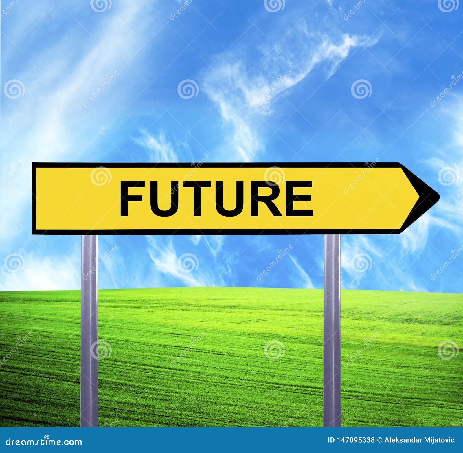 Conceptual Arrow Sign Against Beautiful Landscape with Text - FUTURE ...