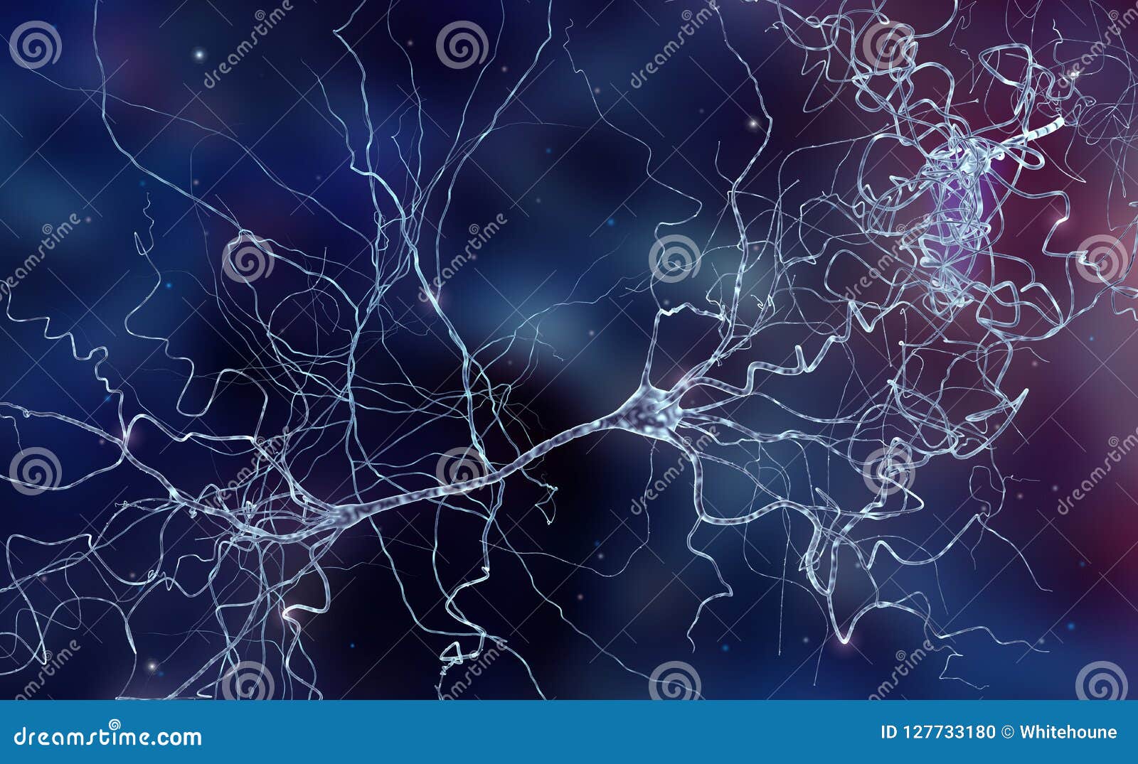 Neurons Wallpaper Hd