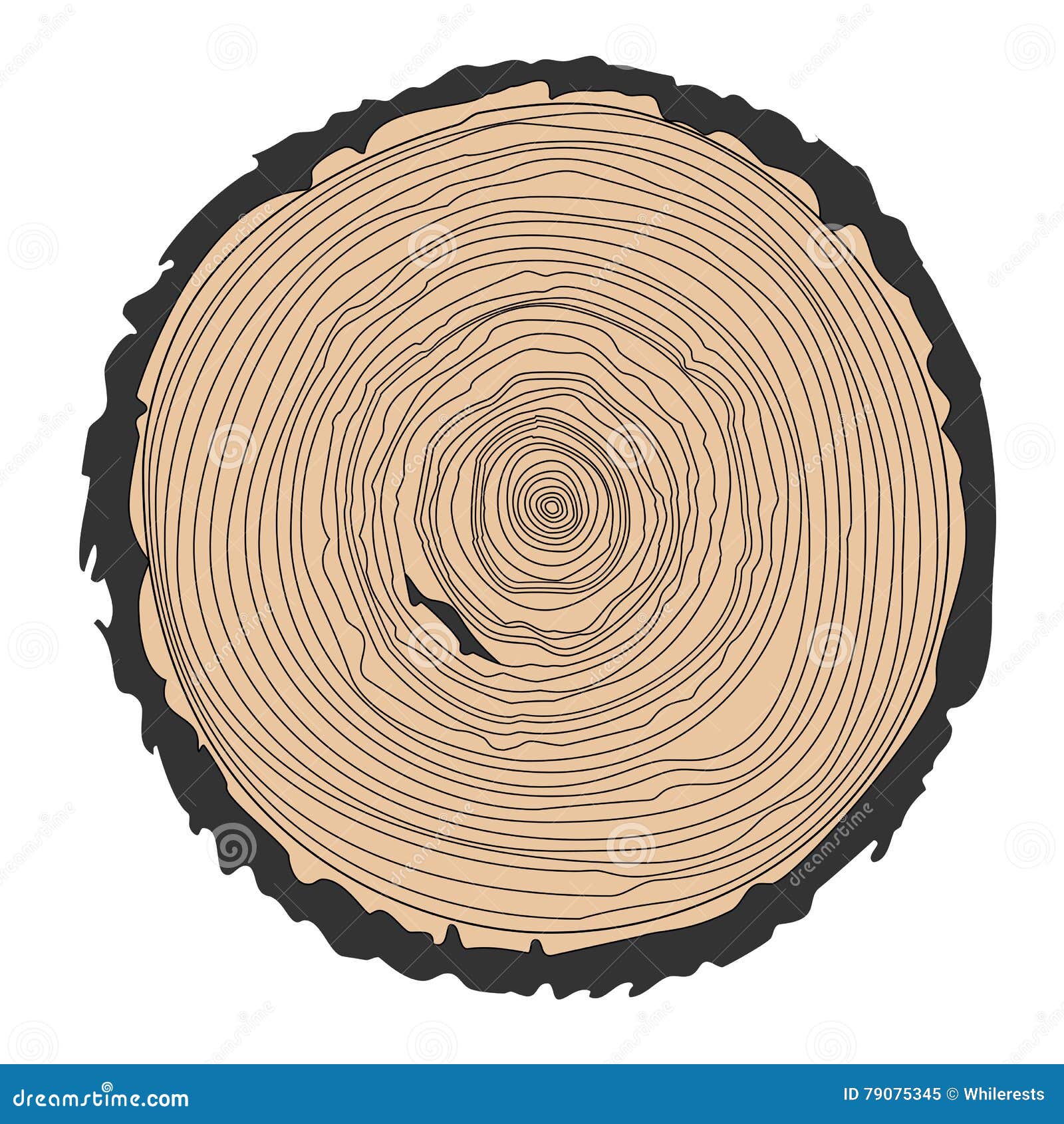 Conceptual Background with Tree-rings. Ring Illustration Isolated on ...