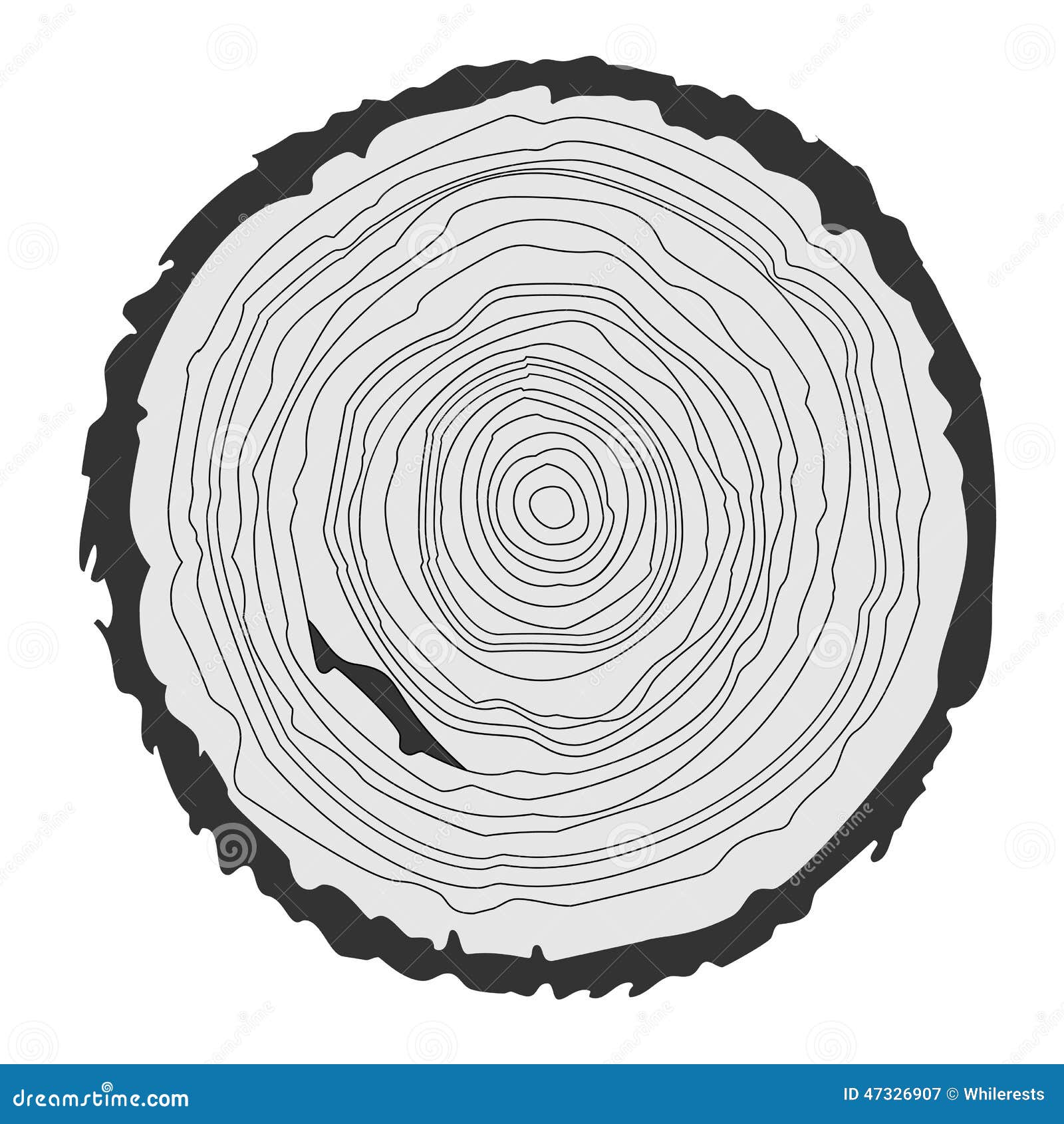 Conceptual Background with Tree-rings. Vector Graphics. Stock Vector ...