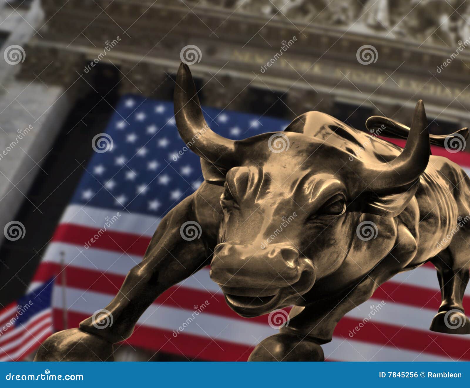 7,850 Bull Market Photos - Free & Royalty-Free Stock Photos from Dreamstime