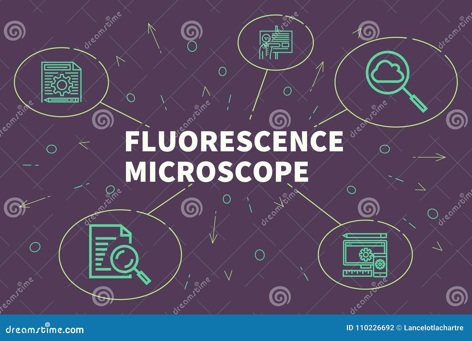 Fluorescence Microscope Image Of Human Cells Undergoing Mitosis Stock ...
