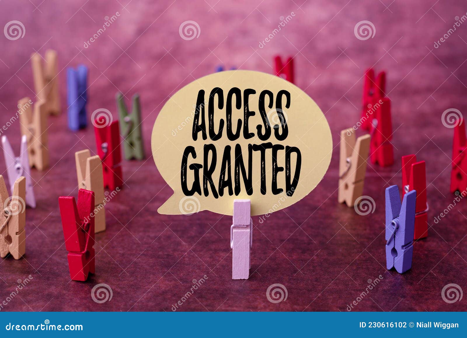 Conceptual Caption Access Granted. Internet Concept Admittance of Users ...