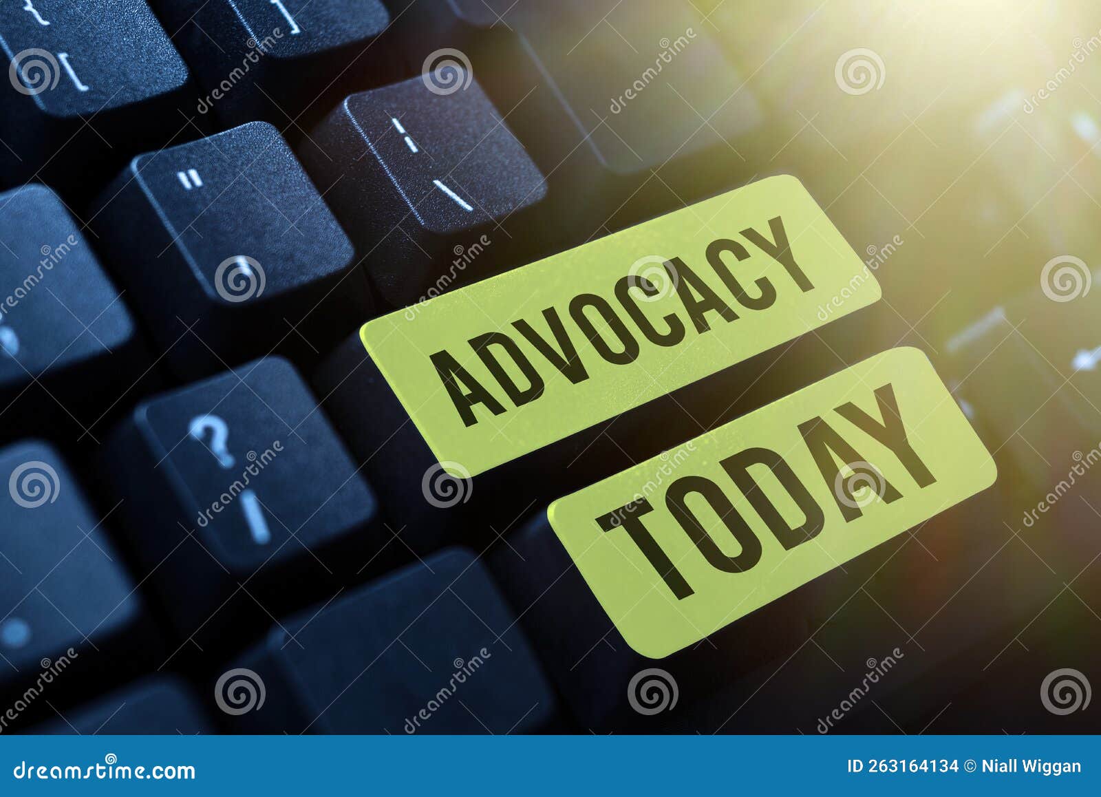 Conceptual Caption Advocacy Business Concept Profession Of Legal