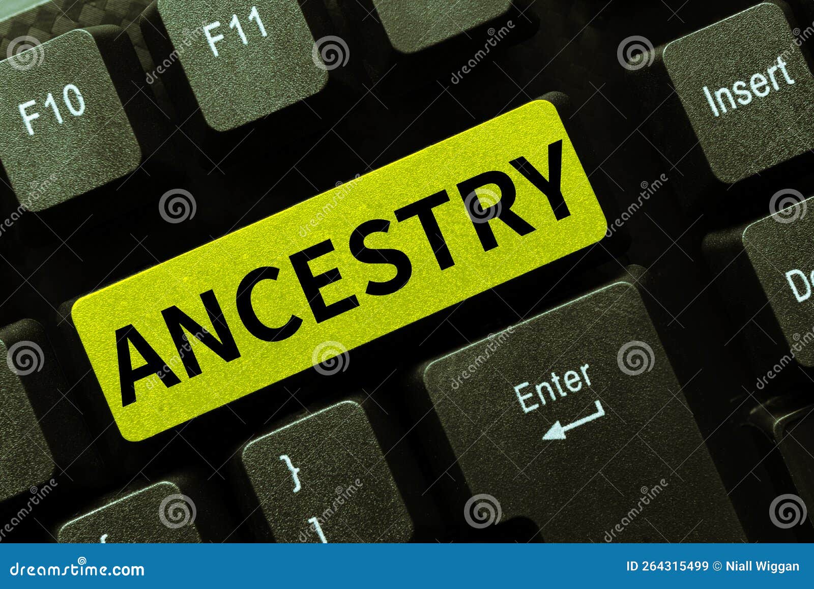 Conceptual Caption Ancestry. Concept Meaning the History or ...