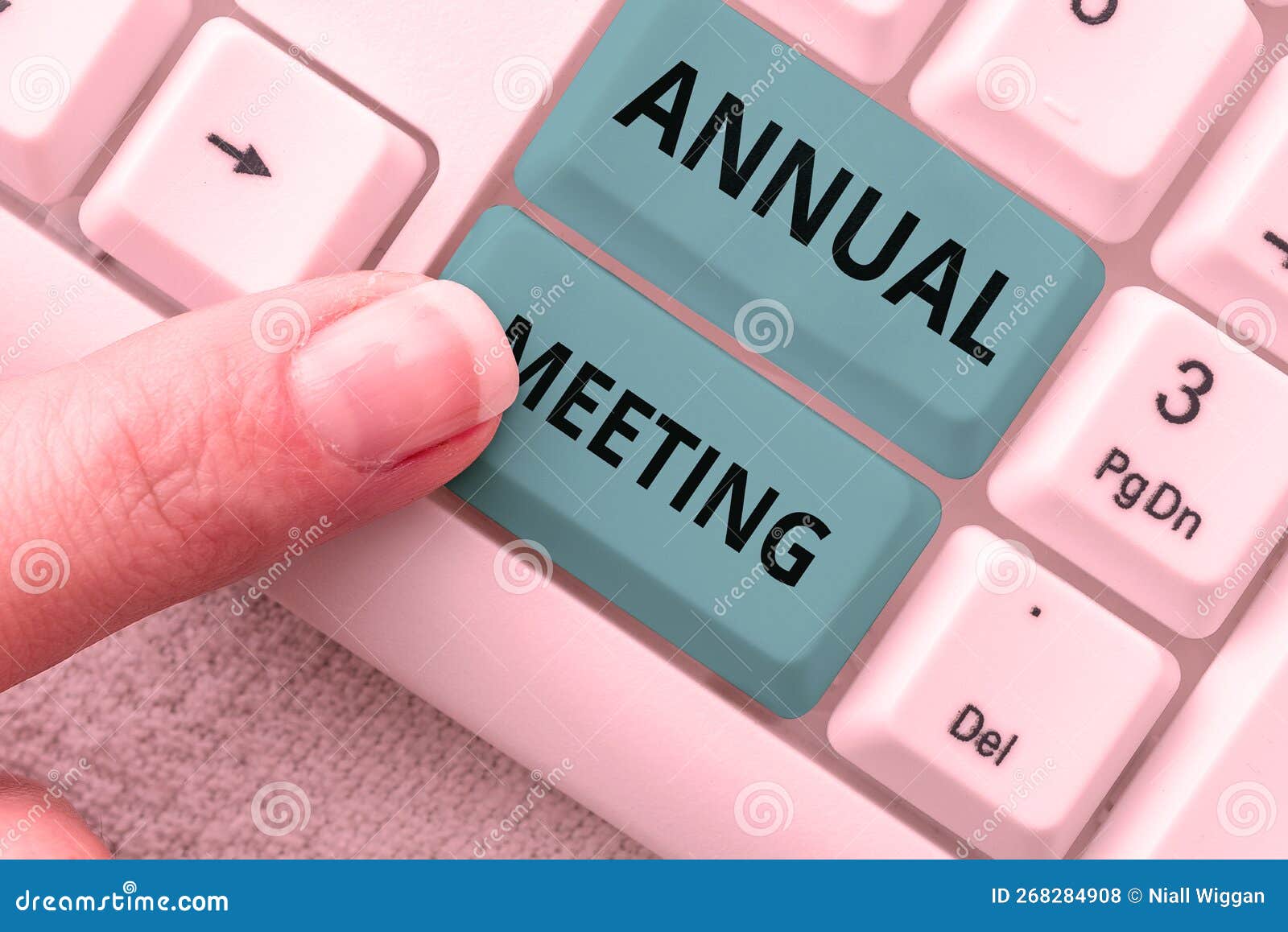 Conceptual Caption Annual Meeting. Concept Meaning Yearly Gathering of ... Conceptual Caption Annual Meeting. Concept Meaning Yearly Gathering of ...