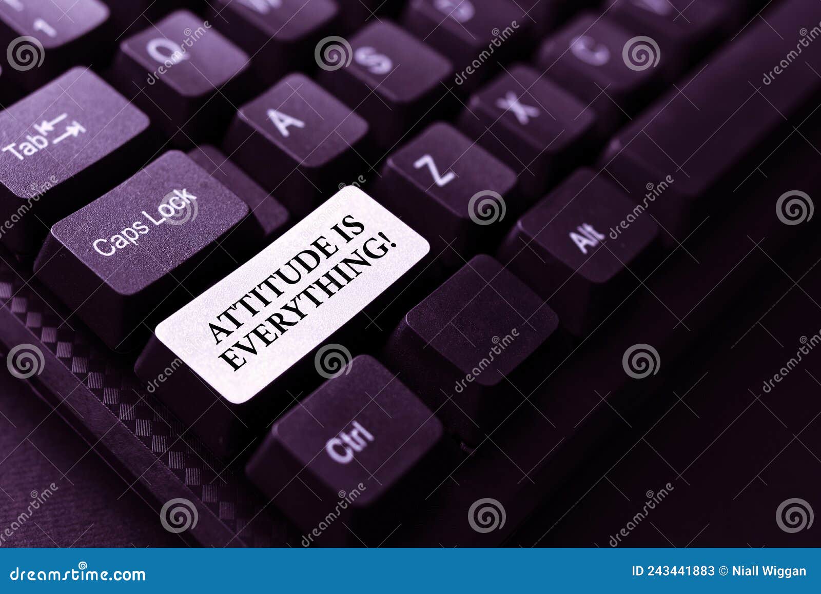 Conceptual Caption Attitude is Everything. Concept Meaning Personal ... Conceptual Caption Attitude is Everything. Concept Meaning Personal ...