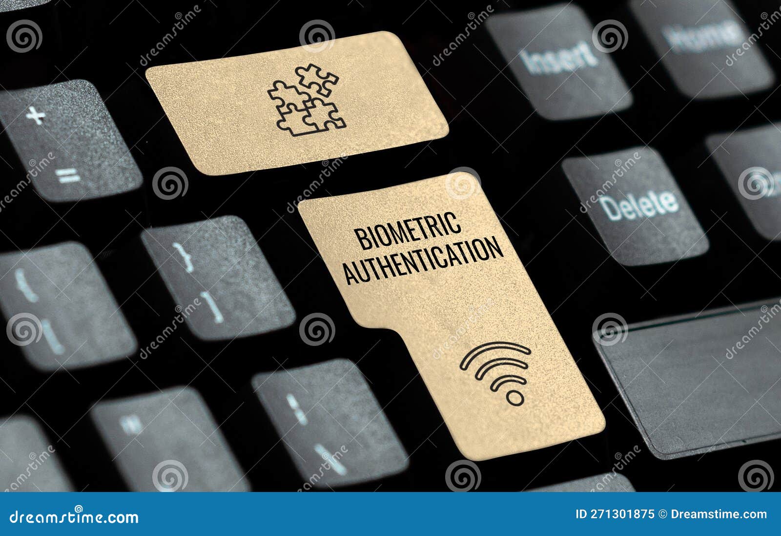 Text Showing Inspiration Biometric Authentication. Business Overview ...