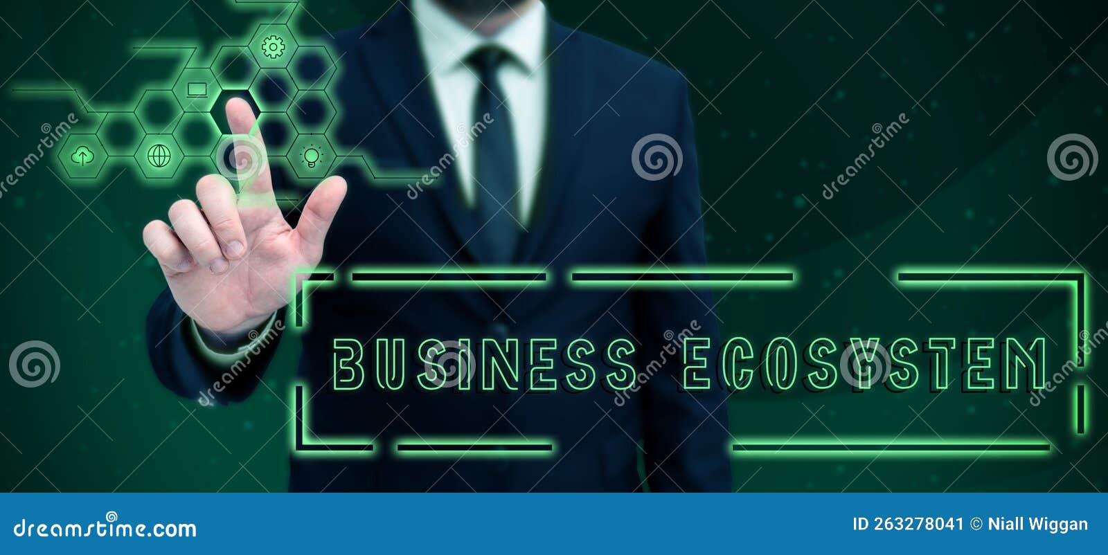 Business Ecosystem Organisation Hexagone Diagram Scheme Template ...