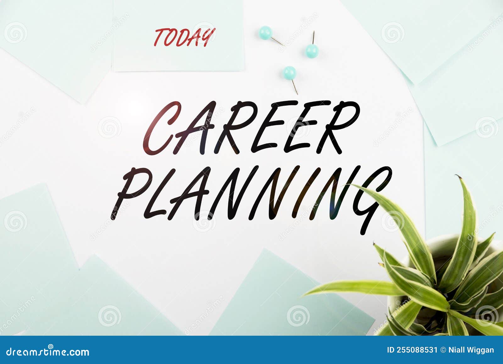 Conceptual Caption Career PlanningA List of Goals and the Actions You ... Conceptual Caption Career PlanningA List of Goals and the Actions You ...