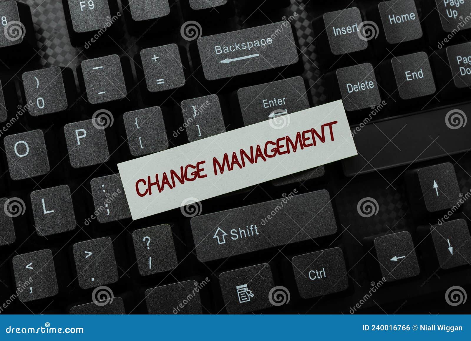 Conceptual Caption Change Management. Internet Concept Development ... Conceptual Caption Change Management. Internet Concept Development ...