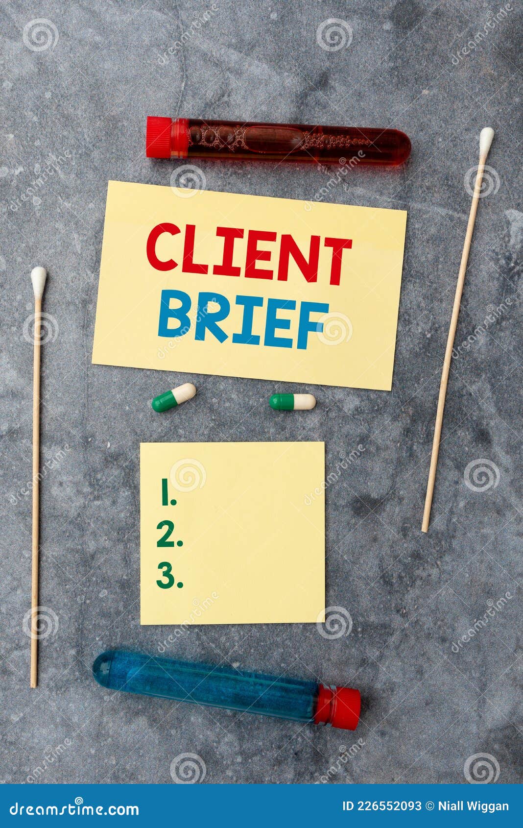 Conceptual Caption Client Brief. Concept Meaning a Documents Bounded by ... Conceptual Caption Client Brief. Concept Meaning a Documents Bounded by ...