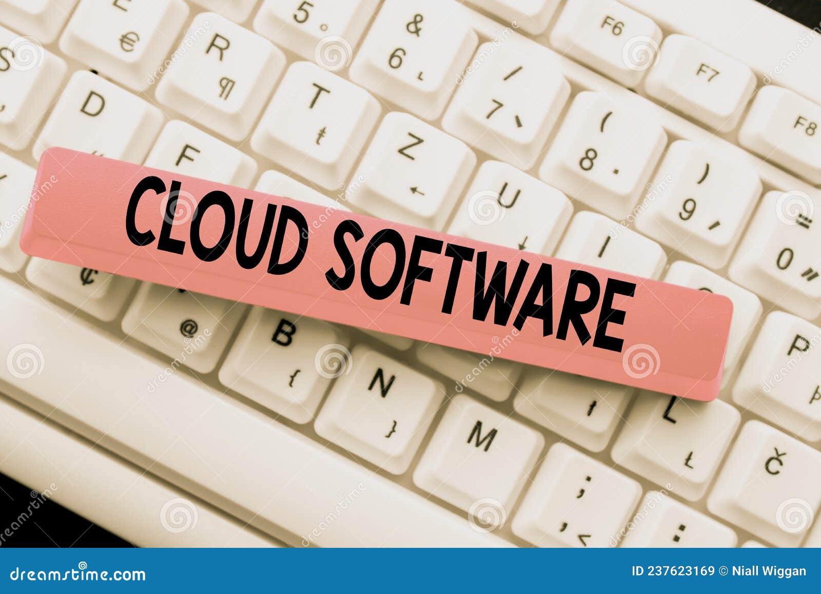 Conceptual Caption Cloud Software. Business Approach Programs Used in ... Conceptual Caption Cloud Software. Business Approach Programs Used in ...