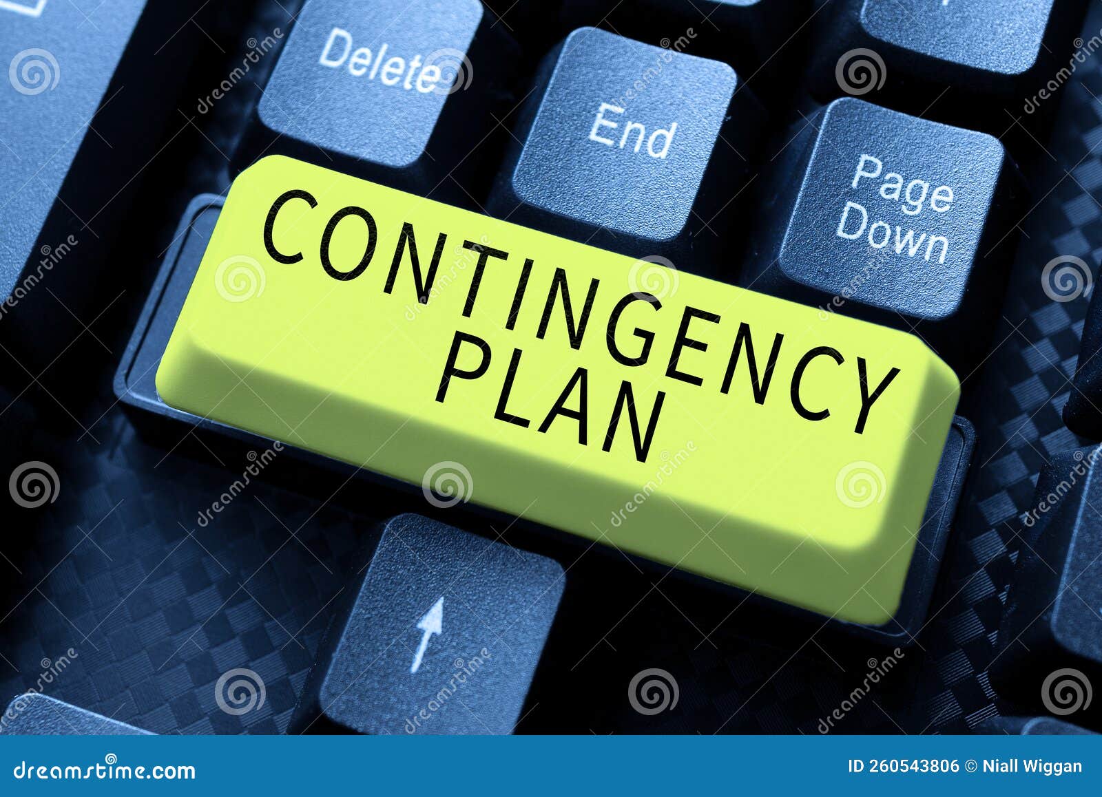 Conceptual Caption Contingency Plan. Conceptual Photo Appears in Response To Clicking on a ...
