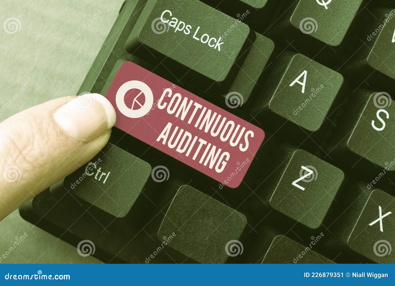 Conceptual Caption Continuous Auditing. Conceptual Photo Internal ...