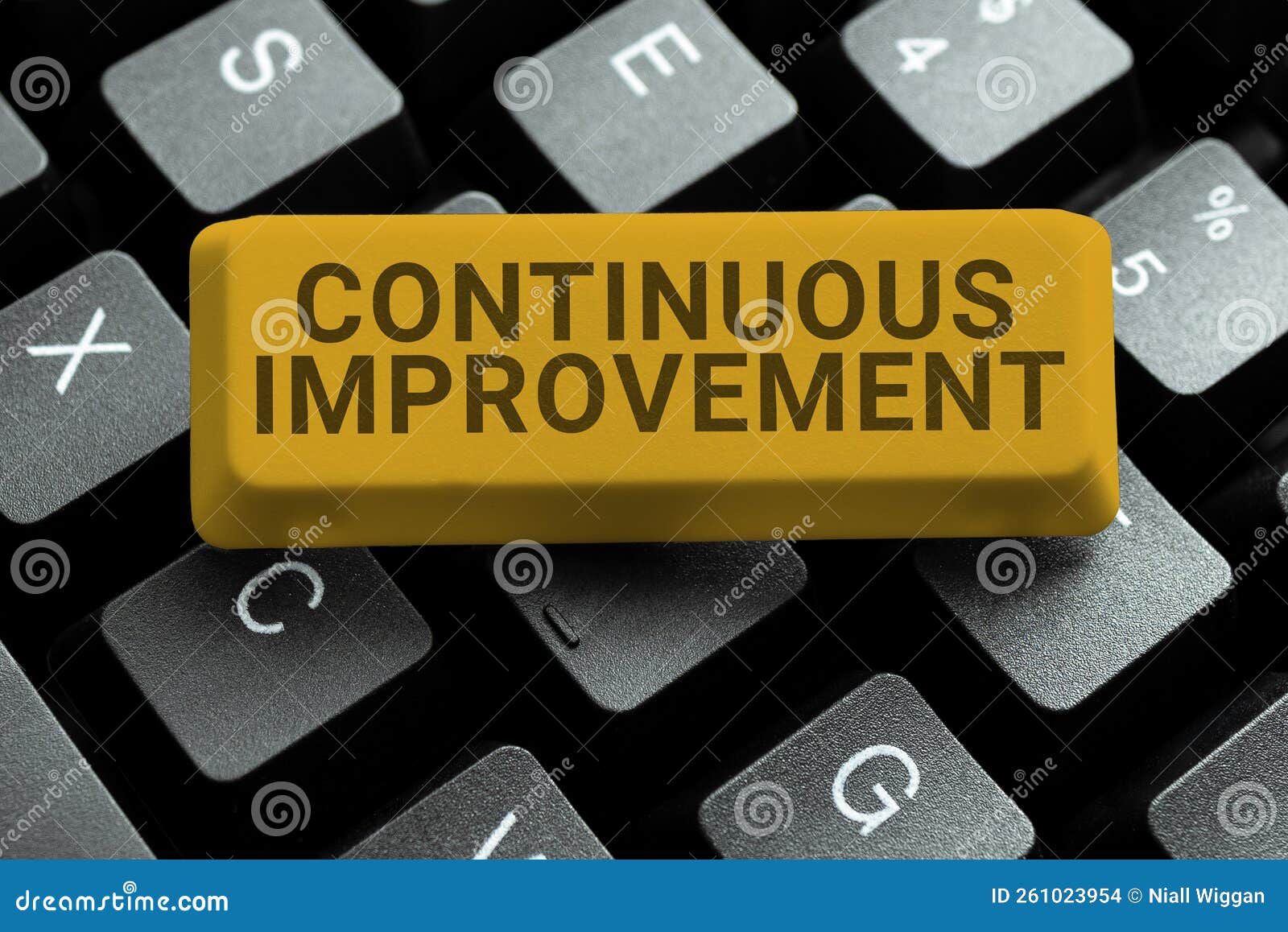 Conceptual Caption Continuous Improvement. Conceptual Photo Making ... Conceptual Caption Continuous Improvement. Conceptual Photo Making ...