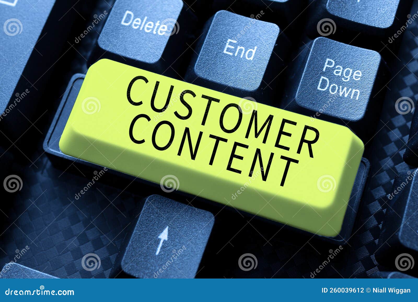 Conceptual Caption Customer Content. Concept Meaning Customers are ... Conceptual Caption Customer Content. Concept Meaning Customers are ...