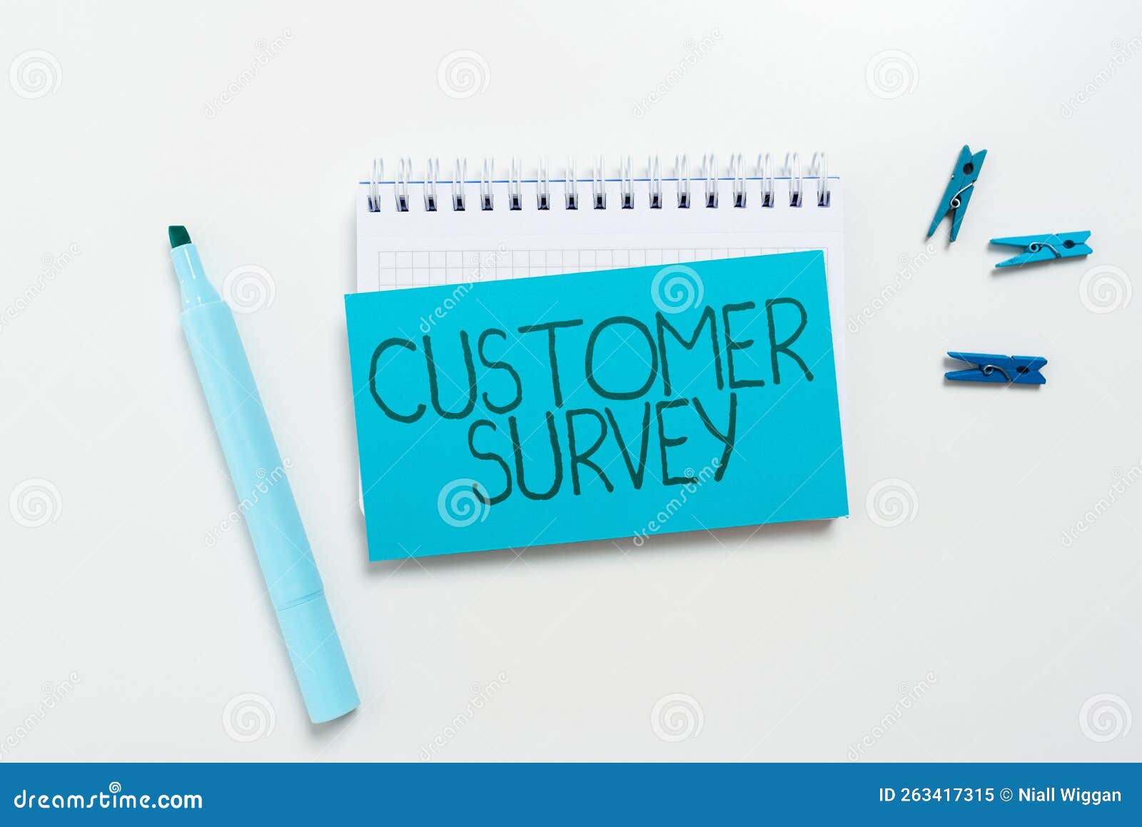 Conceptual Caption Customer Survey. Business Idea Source To Obtain ... Conceptual Caption Customer Survey. Business Idea Source To Obtain ...