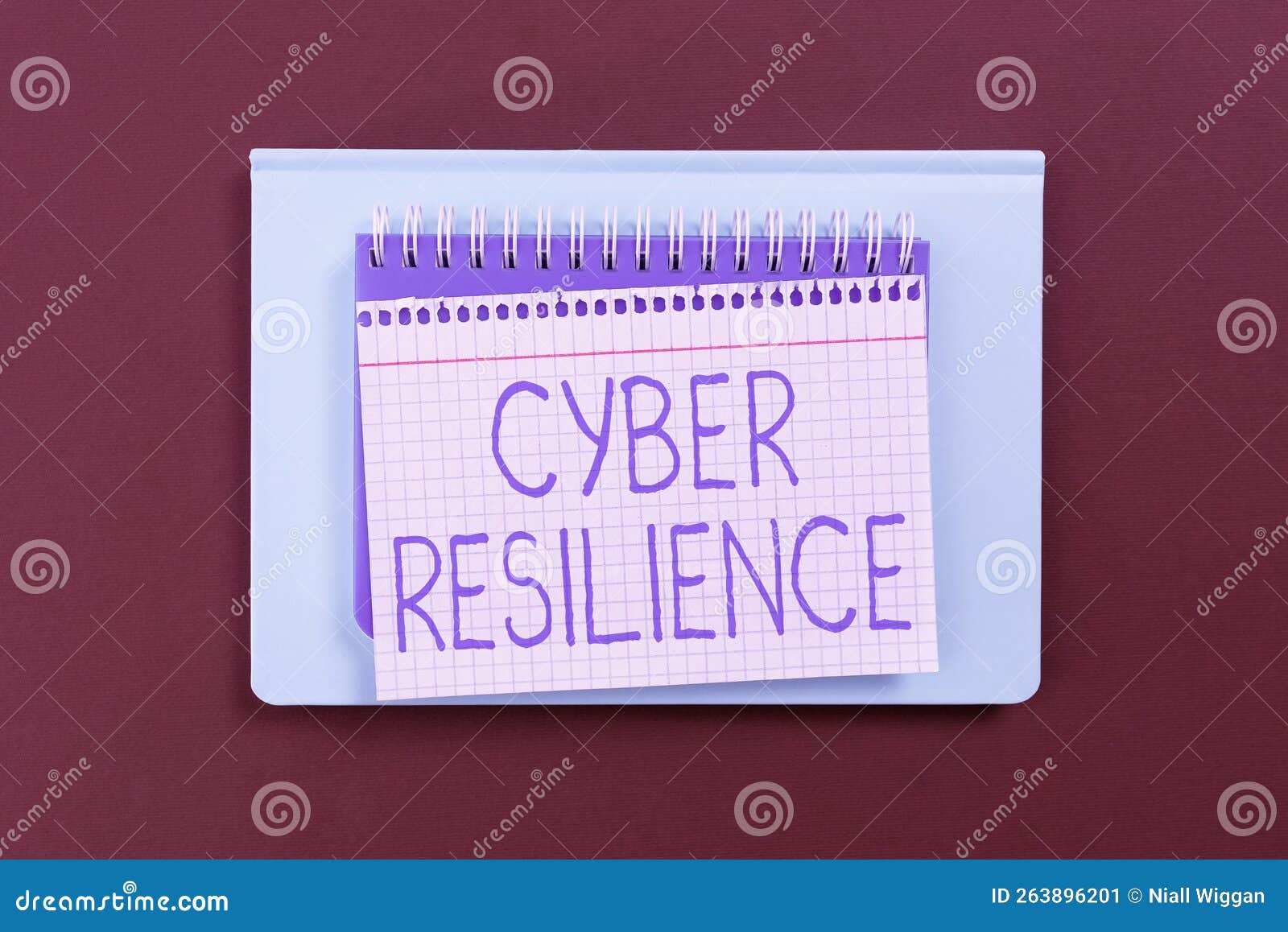 Conceptual Caption Cyber Resilience. Business Showcase Measure of How ... Conceptual Caption Cyber Resilience. Business Showcase Measure of How ...