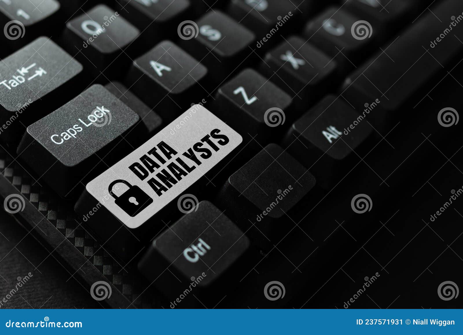 Conceptual Caption Data Analysts. Internet Concept Programmer Design and Create Report ...