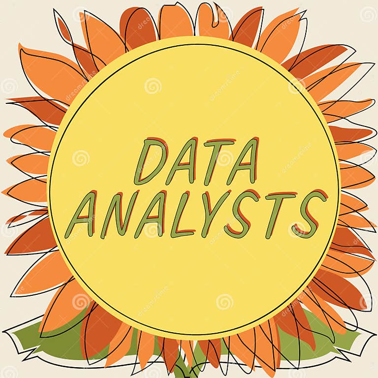 Conceptual Caption Data Analysts. Word for Programmer Design and Create Report Identifies ...