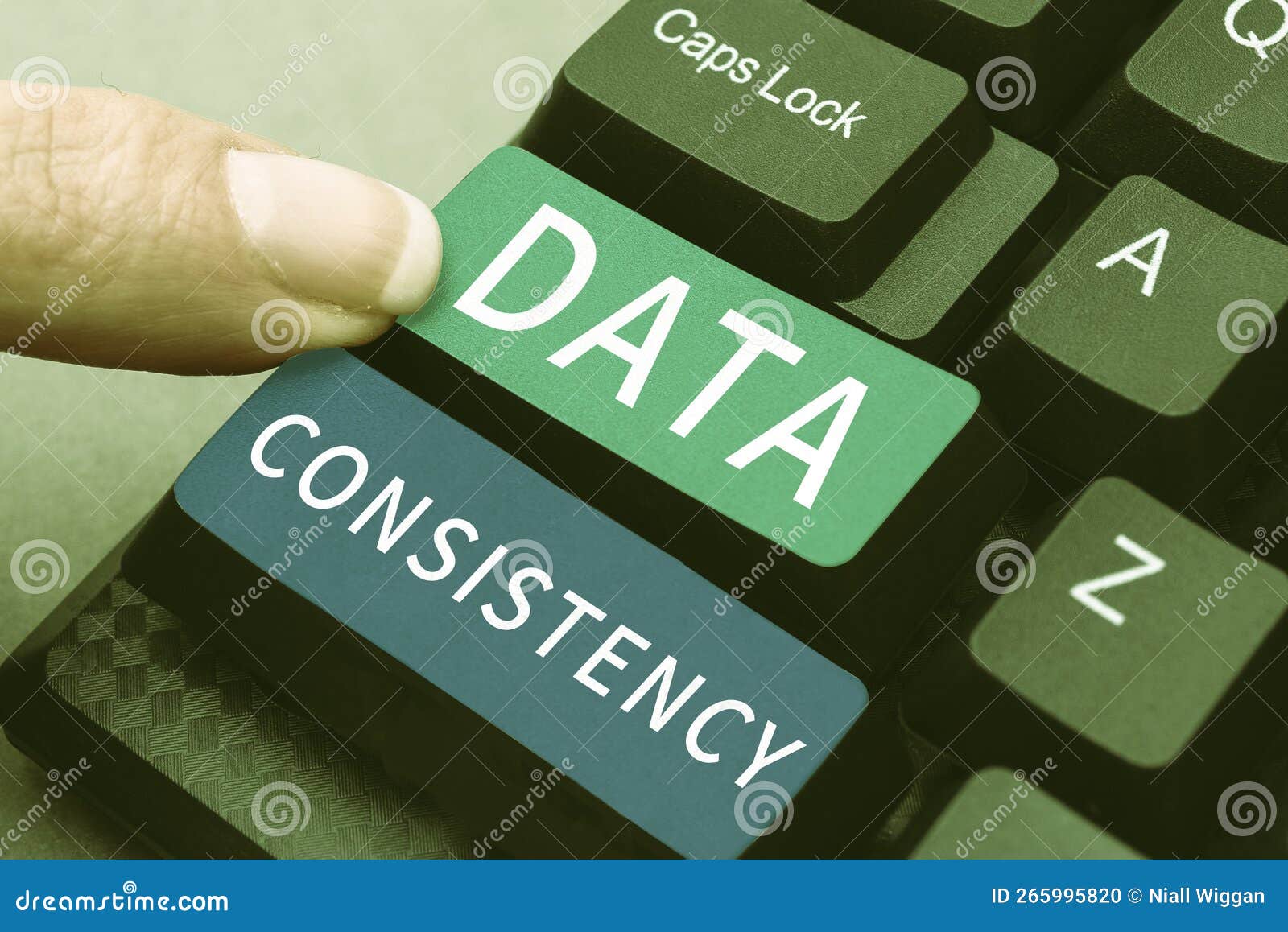Conceptual Caption Data Consistency. Internet Concept Data Values are ...
