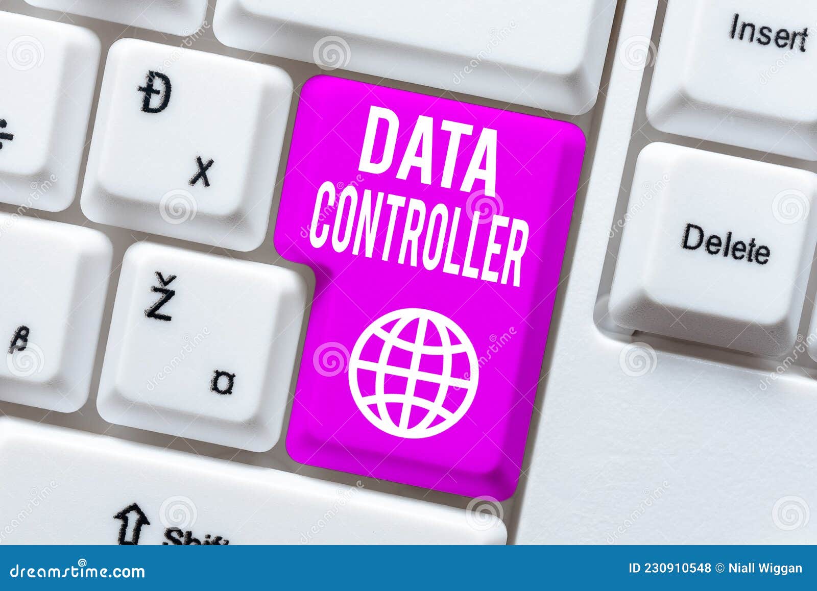 Conceptual Caption Data Controller. Concept Meaning Person Who ...