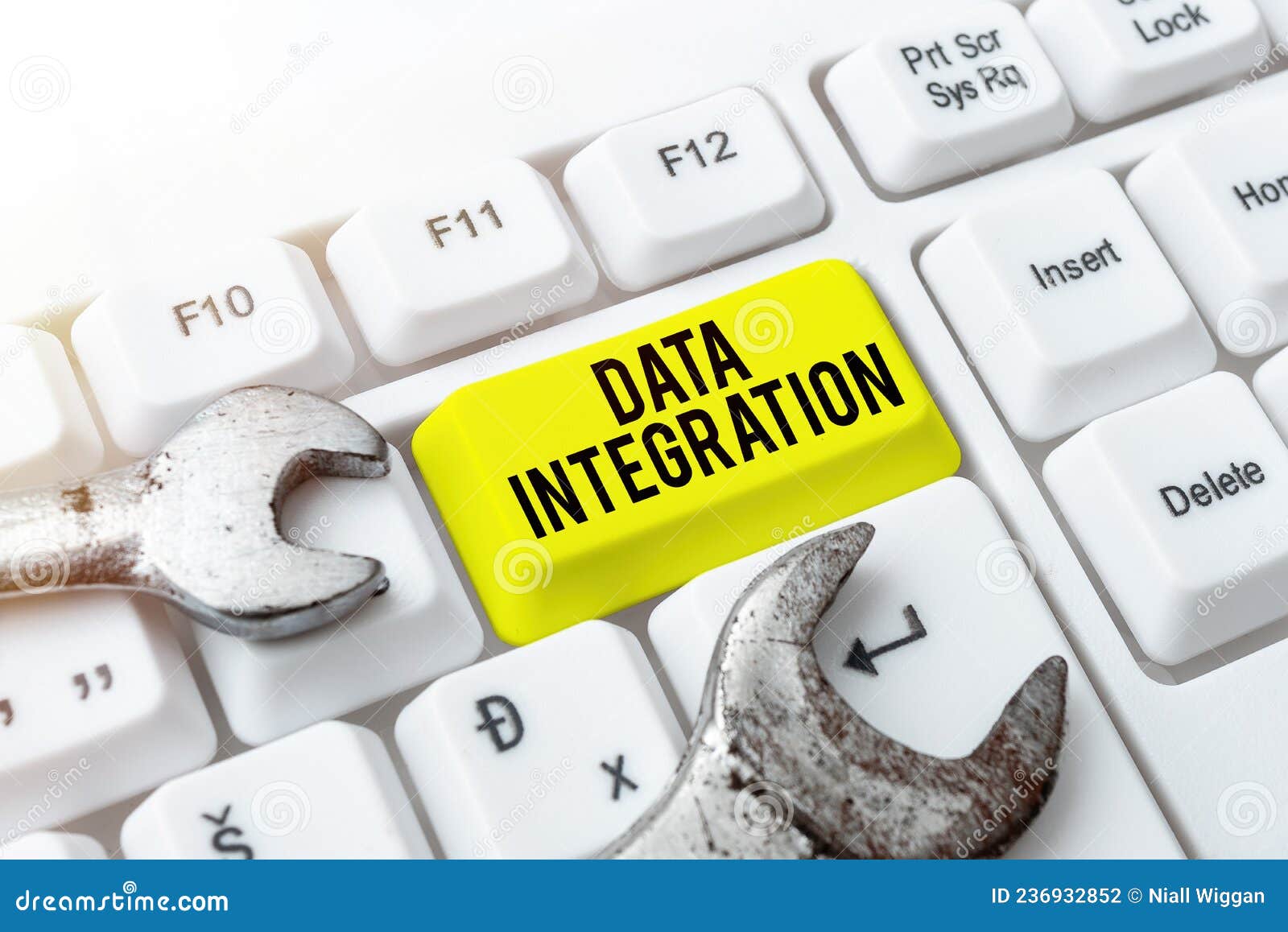 Conceptual Caption Data Integration. Business Overview Combination of ... Conceptual Caption Data Integration. Business Overview Combination of ...