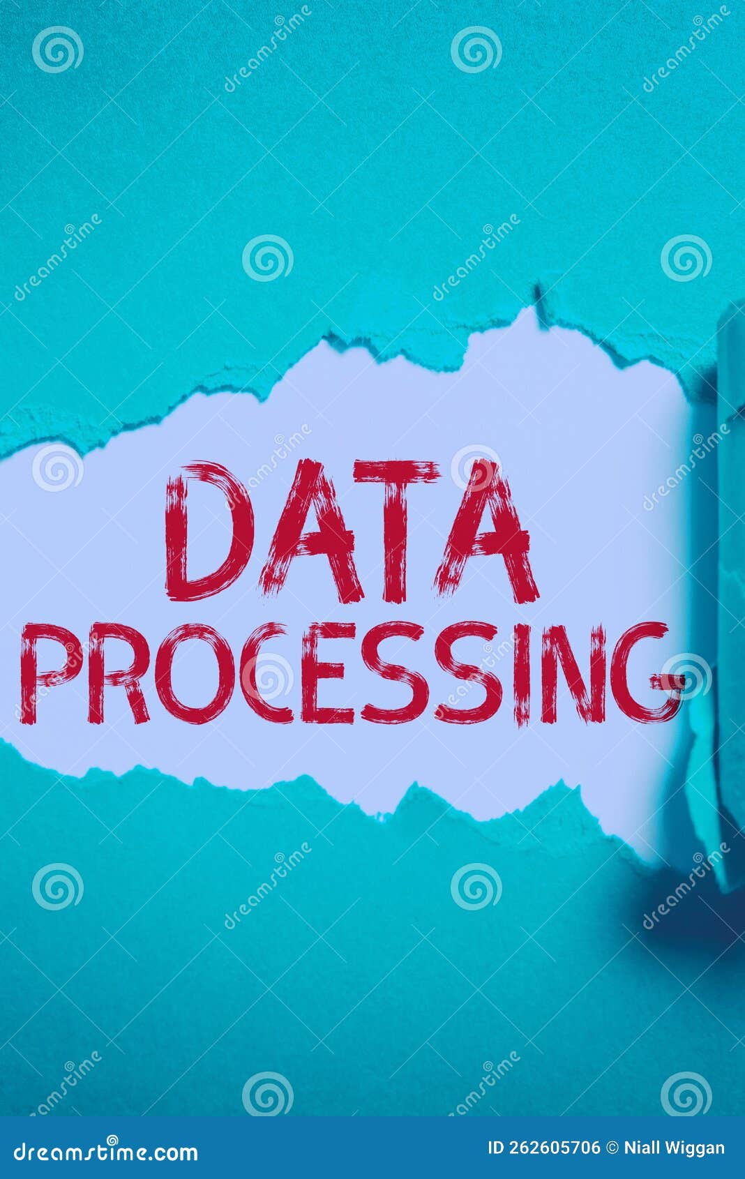 Conceptual Caption Data Processing. Word for Collection and ...