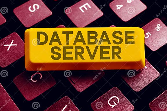 Conceptual Caption Database Server. Business Approach Uses a Database Application that Provides ...