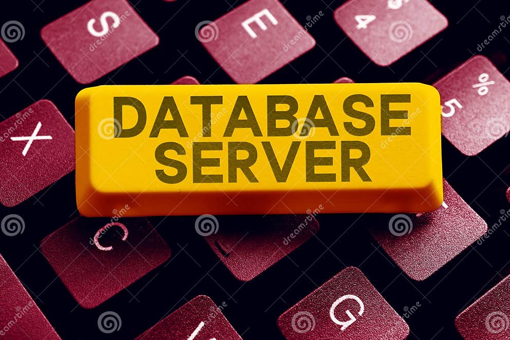 Conceptual Caption Database Server. Business Approach Uses a Database Application that Provides ...