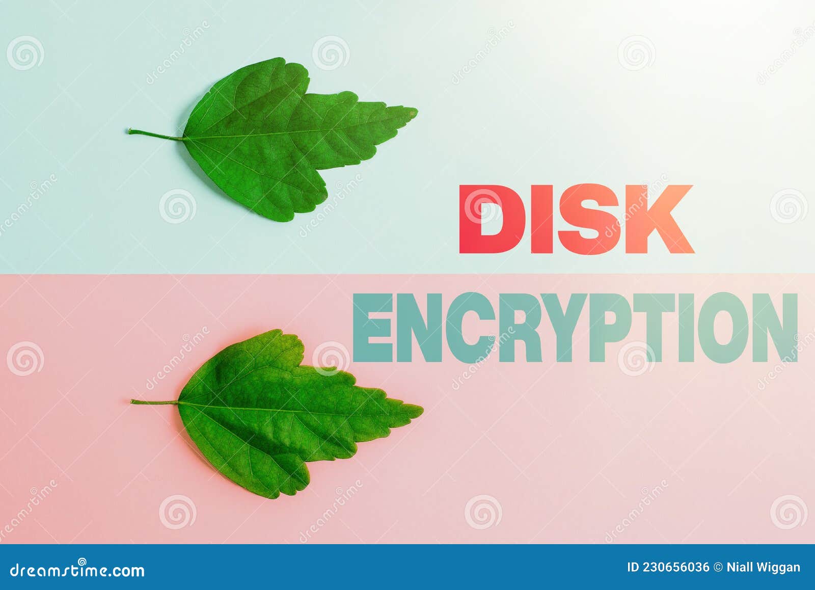 Text Showing Inspiration Disk Encryption. Business Idea the Security Mechanism Used To Protect ...