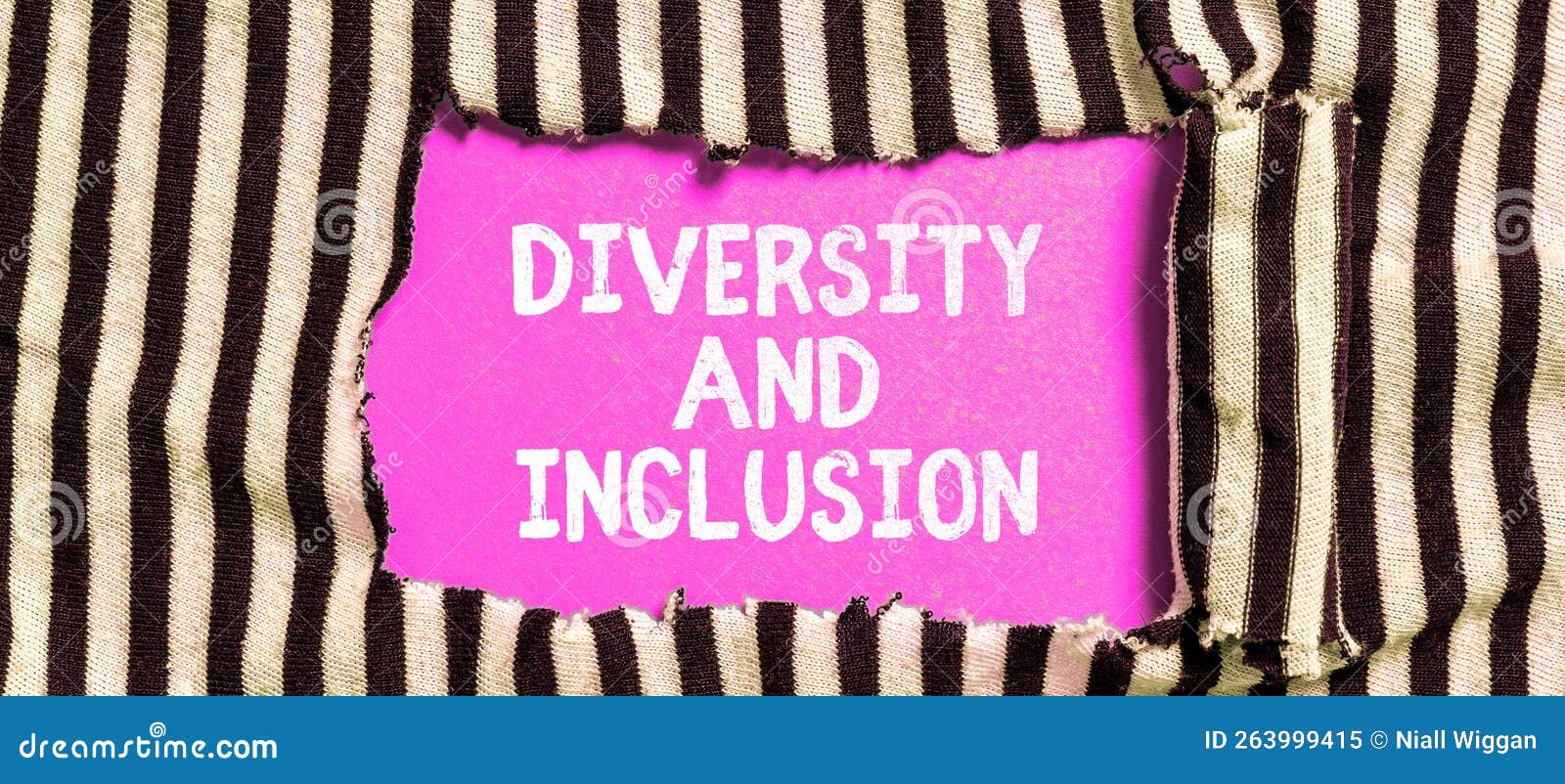 Conceptual Caption Diversity and Inclusion. Concept Meaning Range Human ...