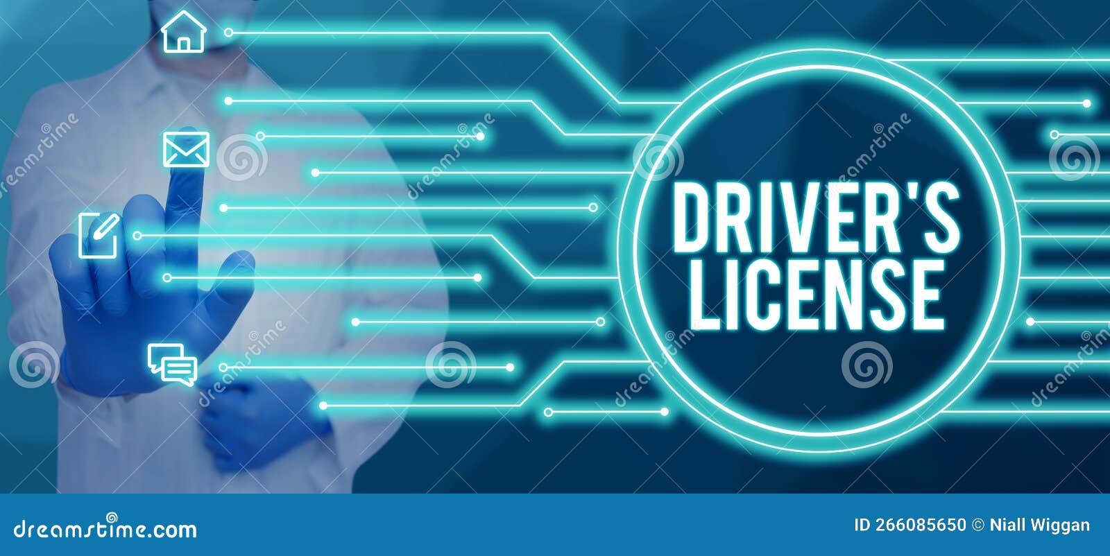 Conceptual Caption Driver S License. Word Written on a Document ... Conceptual Caption Driver S License. Word Written on a Document ...