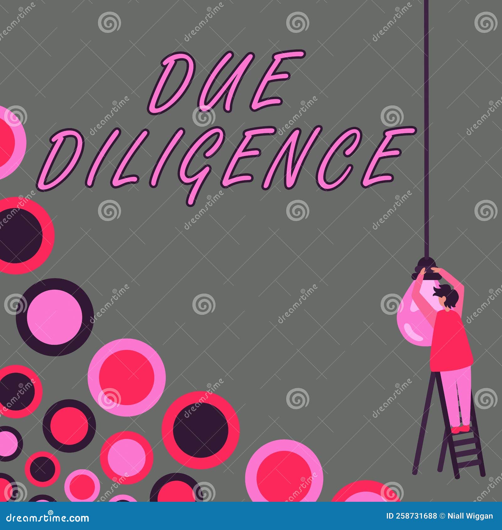 Conceptual Caption Due Diligence. Business Overview Comprehensive ... Conceptual Caption Due Diligence. Business Overview Comprehensive ...