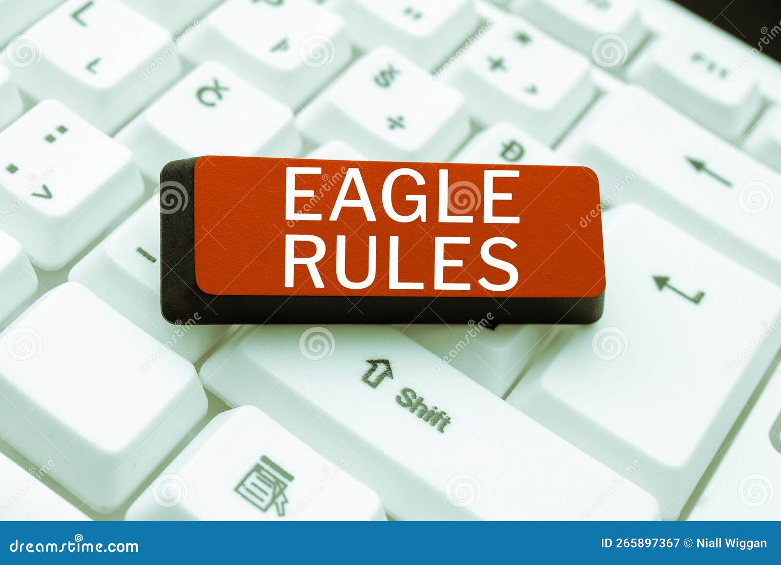 Conceptual Caption Eagle Rules. Word for a Huge Set of Design Rules ...